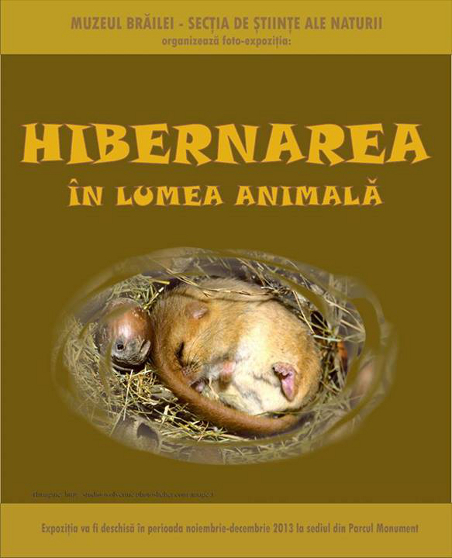Foto-expoziţia "HIBERNAREA ÎN LUMEA ANIMALĂ"