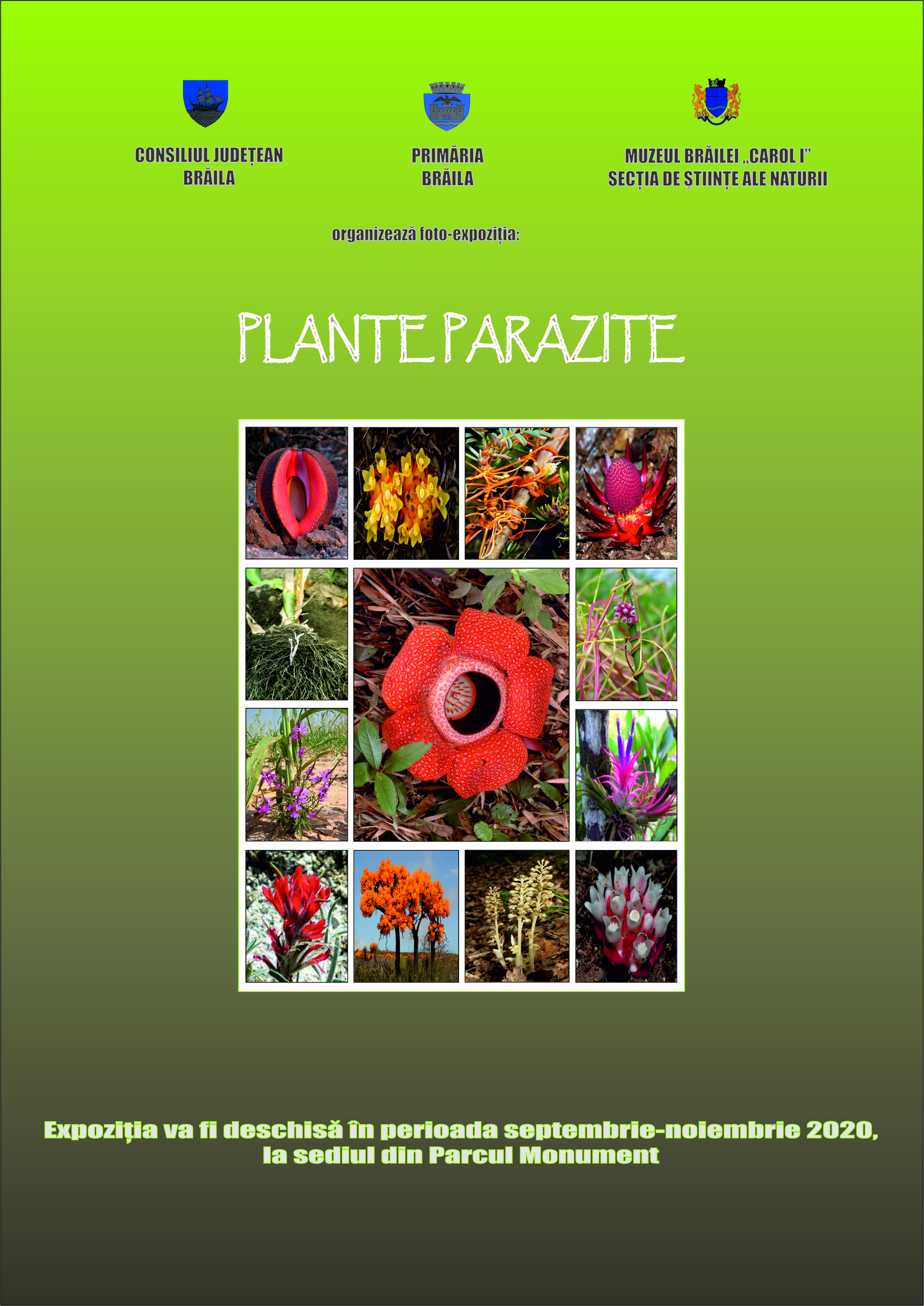 Foto-expoziția temporară „PLANTE PARAZITE”, la Muzeul Brăilei „Carol I ...