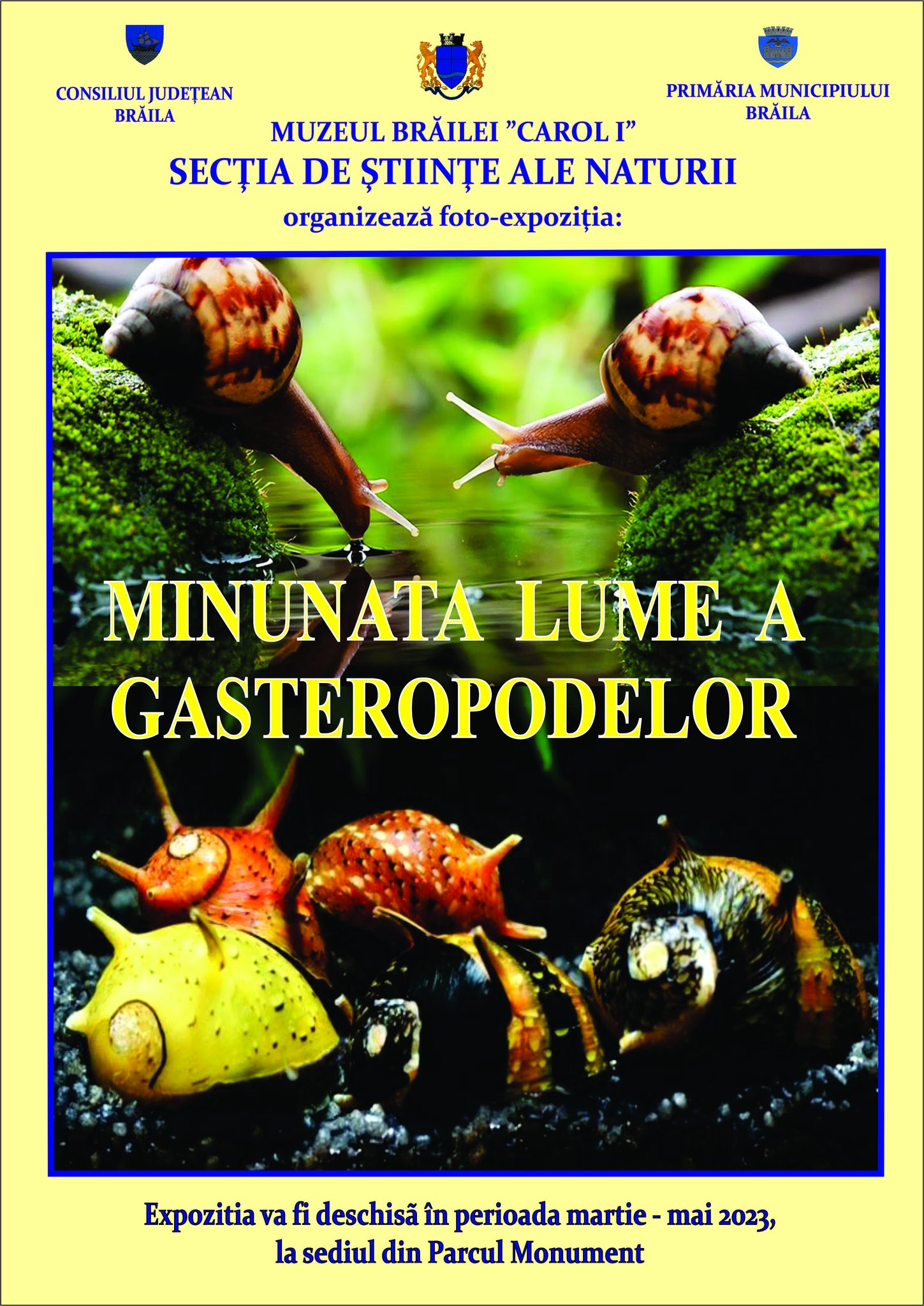 Foto - expoziția „MINUNATA LUME A GASTEROPODELOR”, la Muzeul Brăilei ...