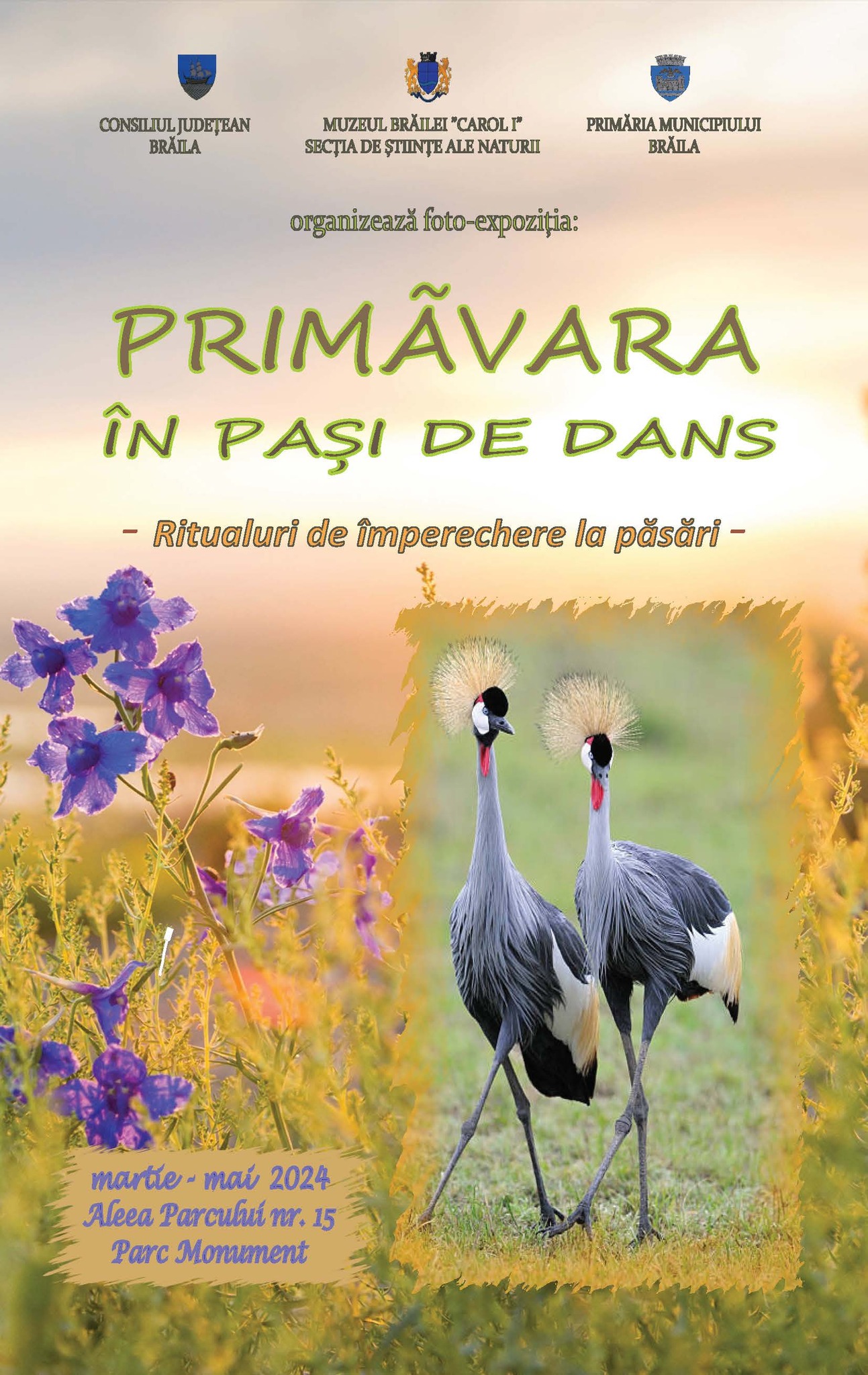 Foto-expoziția „PRIMĂVARA, ÎN PAȘI DE DANS - RITUALURI DE ÎMPERECHERE ...
